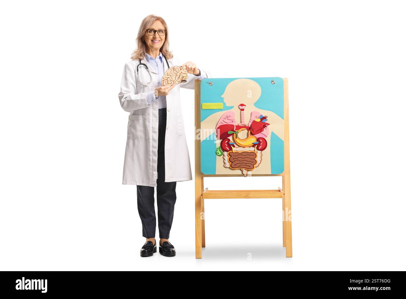 Doctor standing with a board and poster of human organs isolated on ...