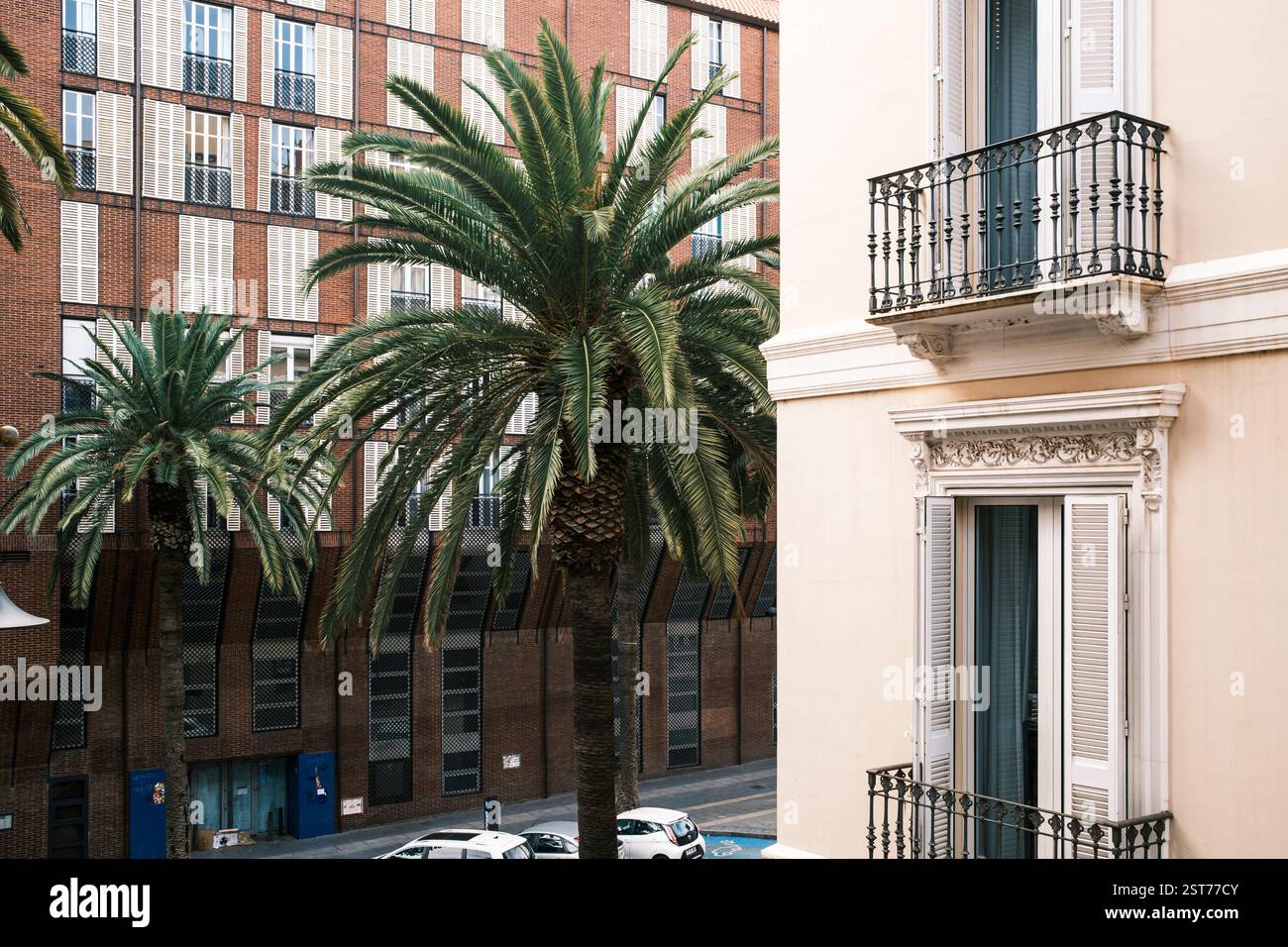 Palm trees and buildings in Malaga, Spain Stock Photo - Alamy