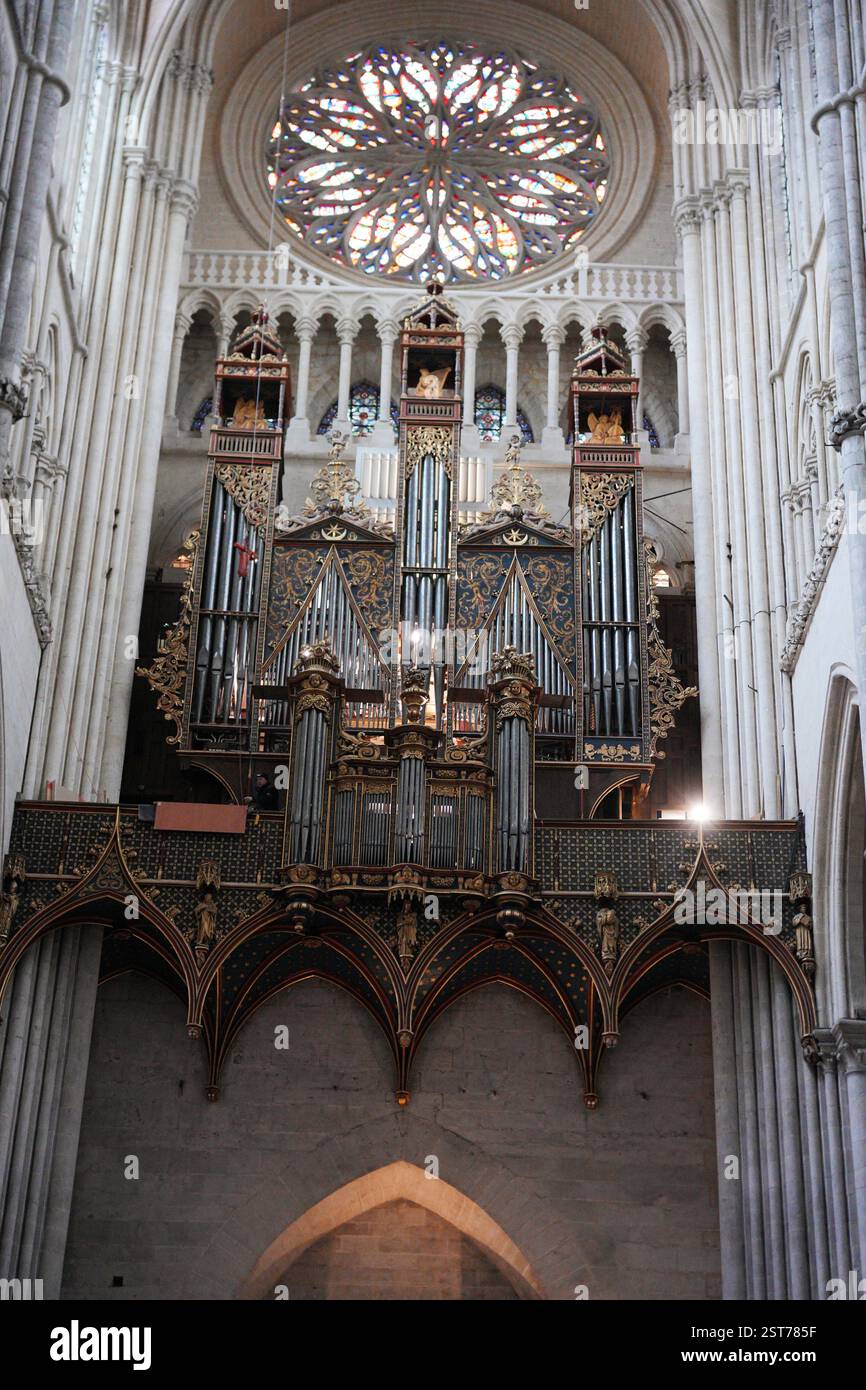 Close-up view of the intricate pipe organ and vibrant rose window in ...