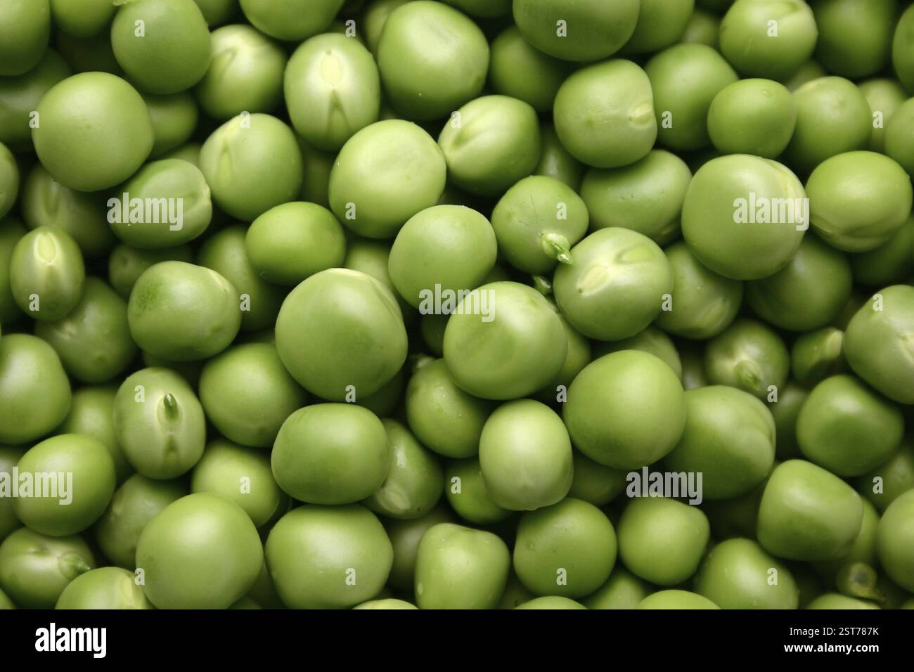 Vegetable, Green peas, India, Asia Stock Photo - Alamy