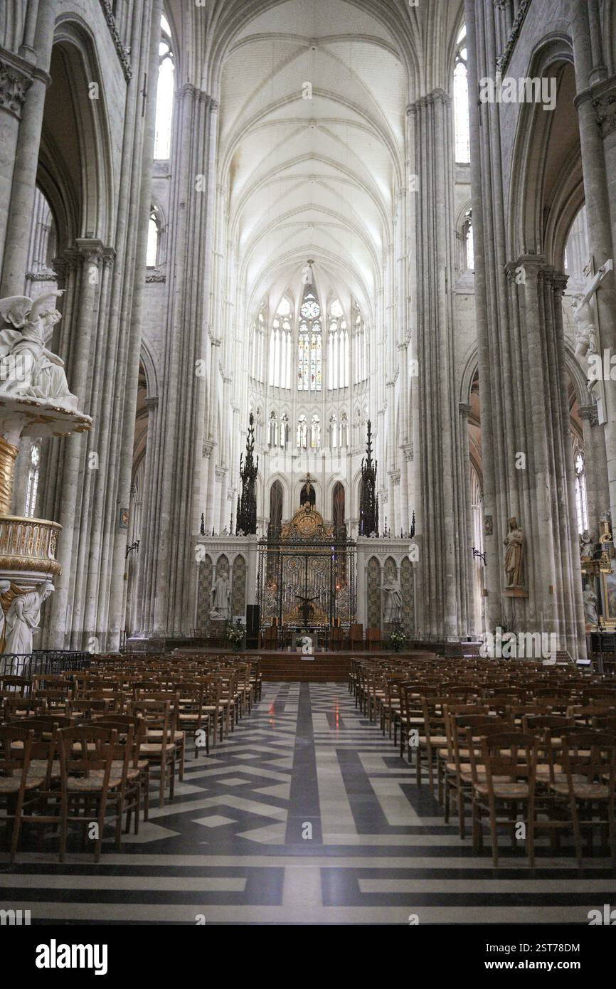 The grand nave Cathedral in France, featuring a labyrinth floor design ...