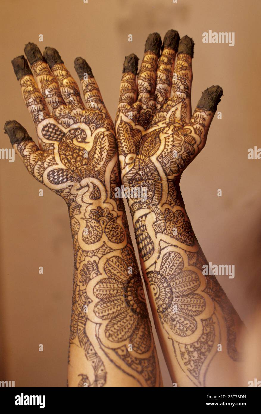 Bride showing mehendi design on hand, India, MR, Asia Stock Photo - Alamy