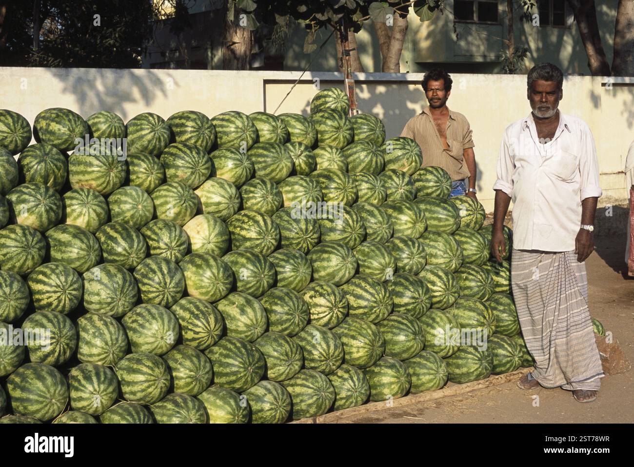 Watermelons seller, kerala, india Stock Photo - Alamy