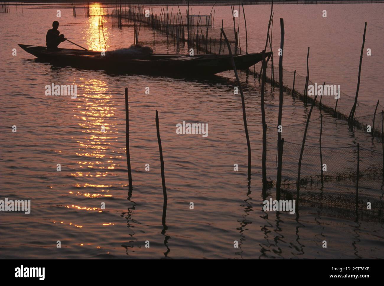 Prawn farms, satpada, lake chilka, orissa, india Stock Photo - Alamy