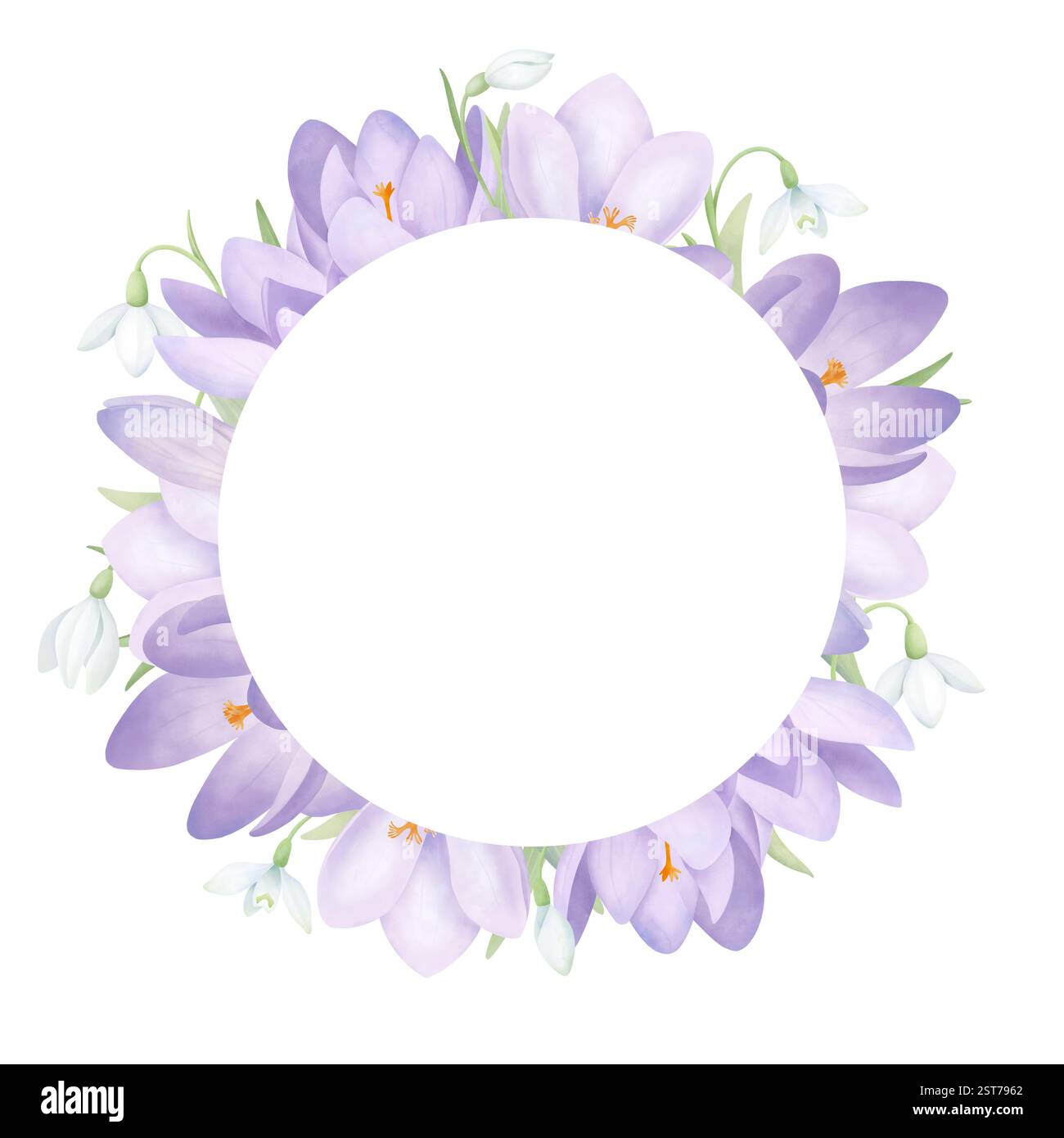 Snowdrop composition Cut Out Stock Images & Pictures - Alamy