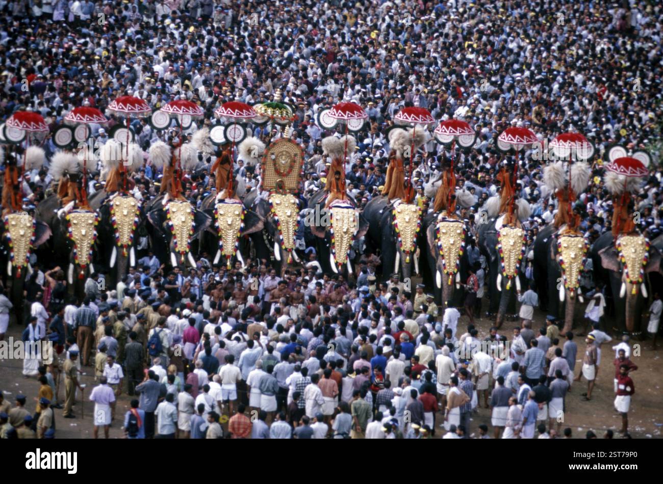 Trichurpooram pooram, Elephant March Festival, Kerala, india Stock ...