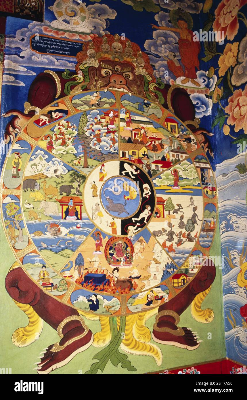 Life cycle, Sikkim, india Stock Photo - Alamy