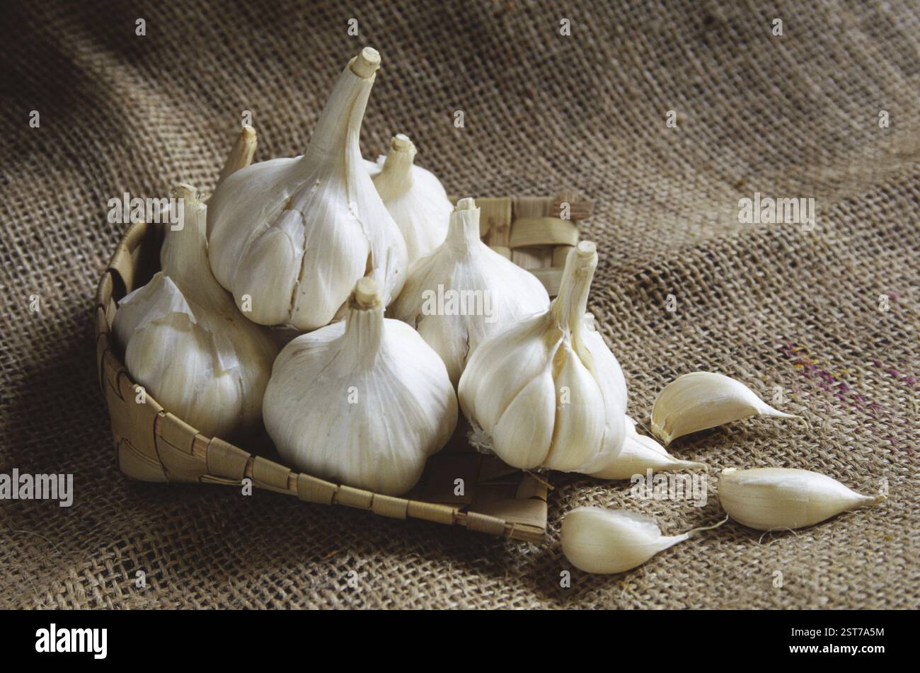 Spices, garlic, india Stock Photo - Alamy