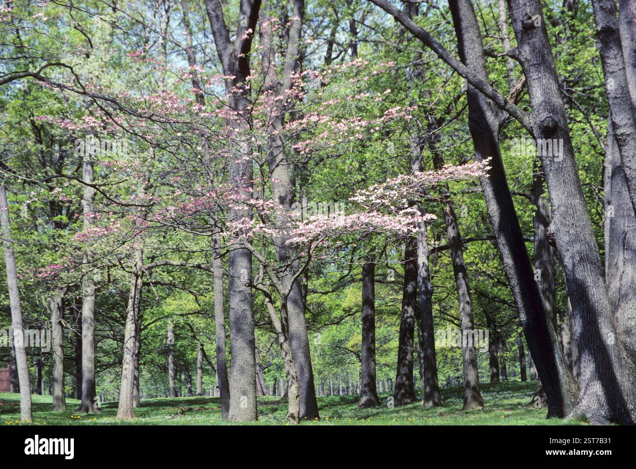 Season seasons hi-res stock photography and images - Alamy