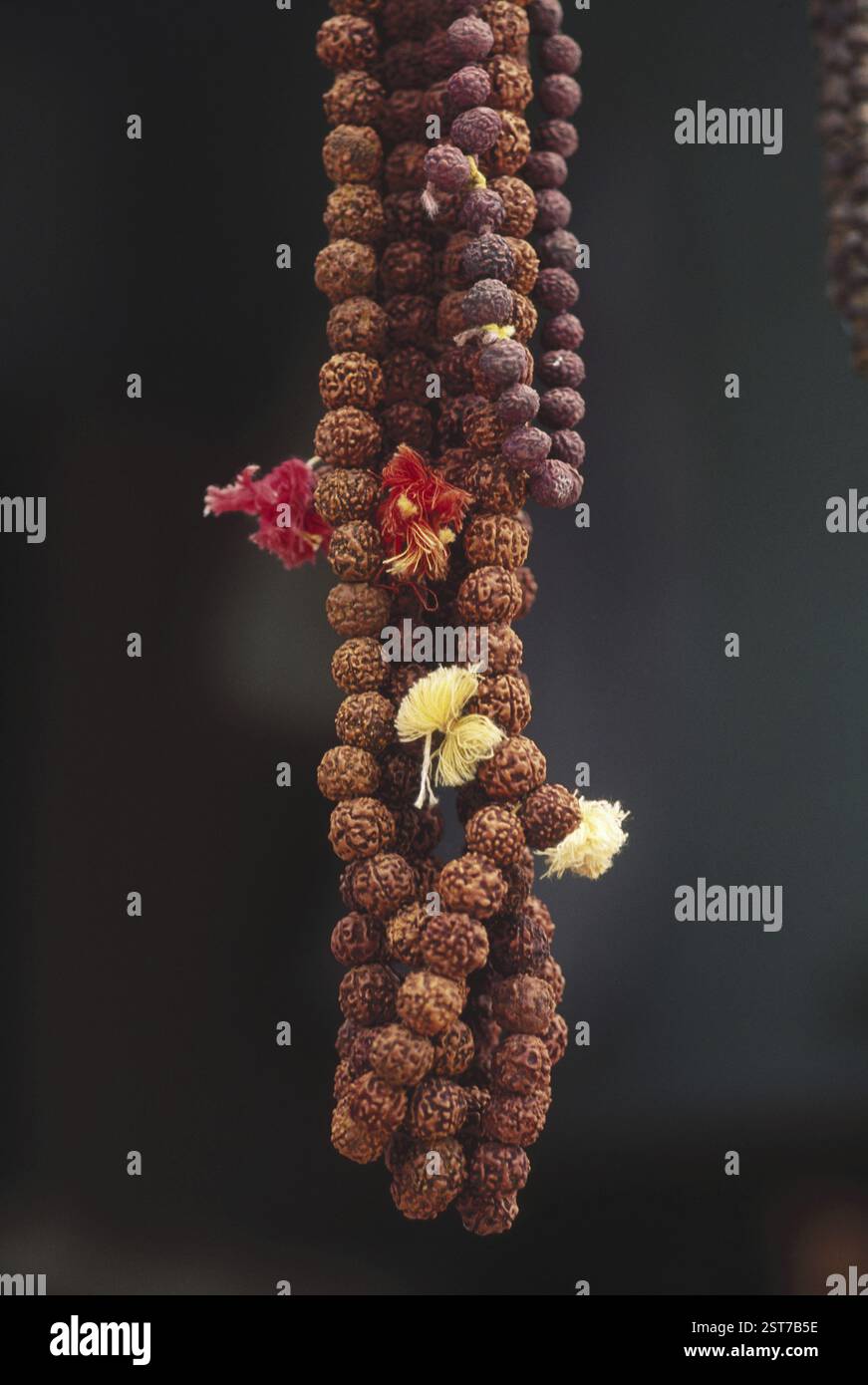 Rudraksha beads mala used for chanting, india Stock Photo - Alamy
