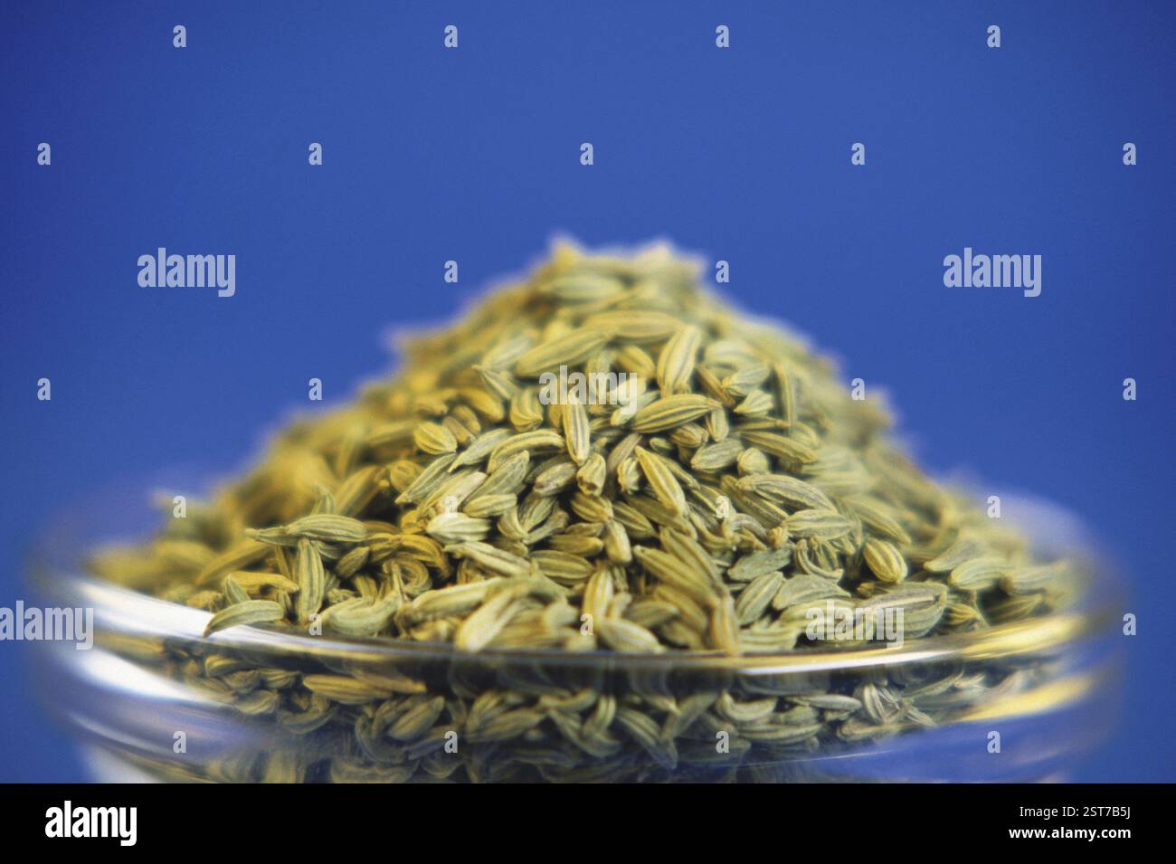 Spices, ani seeds, india Stock Photo - Alamy