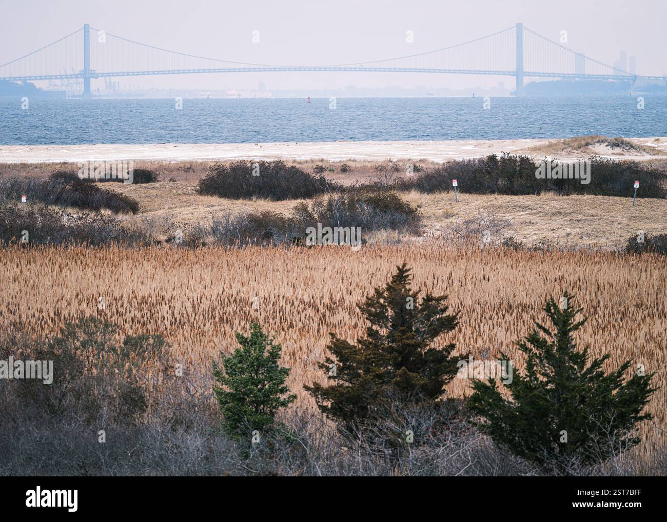 The Verrazzano-Narrows Bridge links New Jersey to NYC, rising beyond ...