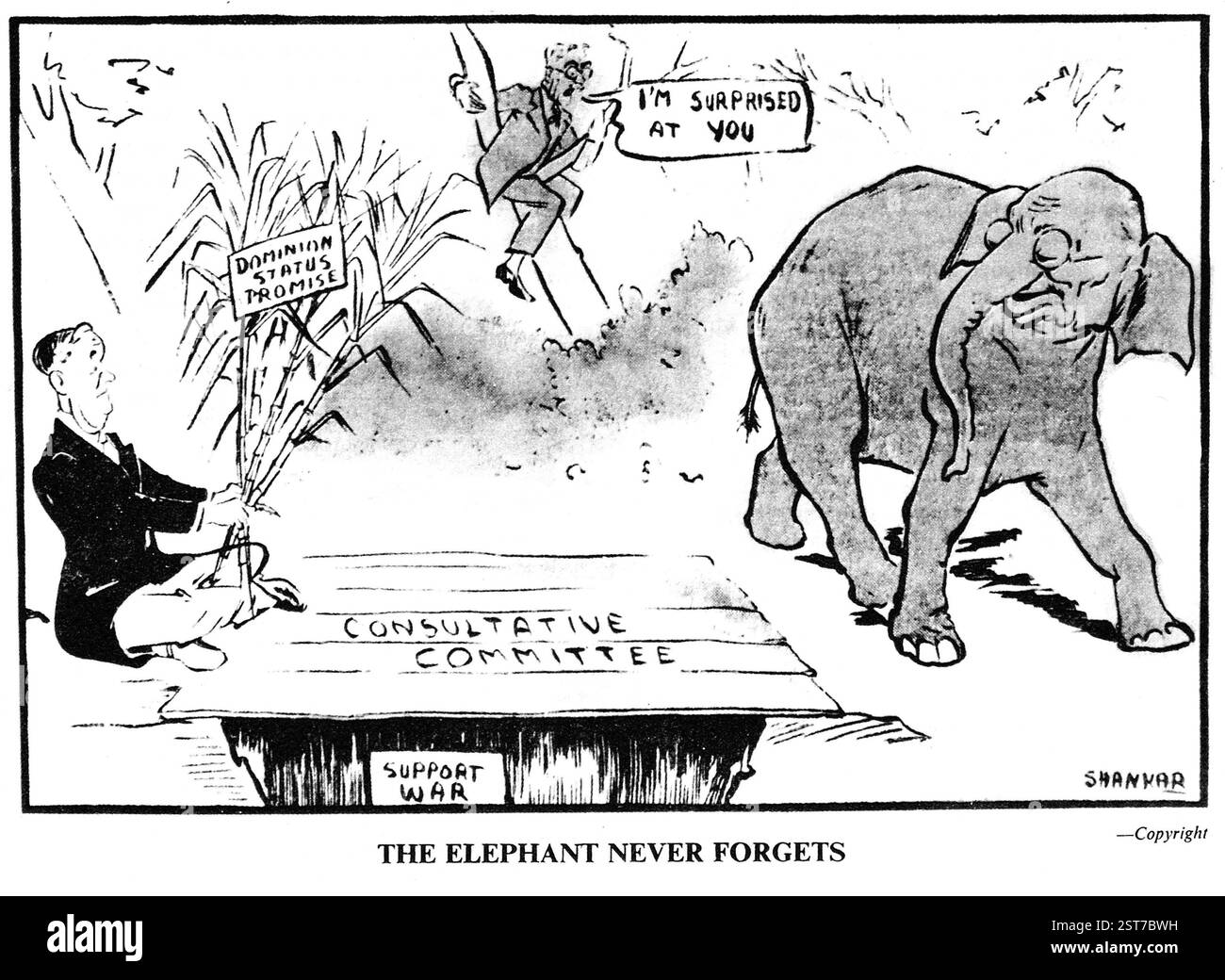 The Elephant never forgets, Hindustan Times - MODEL RELEASE NOT ...