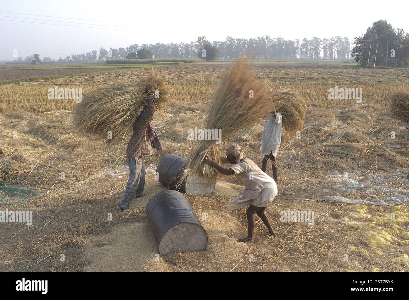 Role in arid landscapes hi-res stock photography and images - Alamy