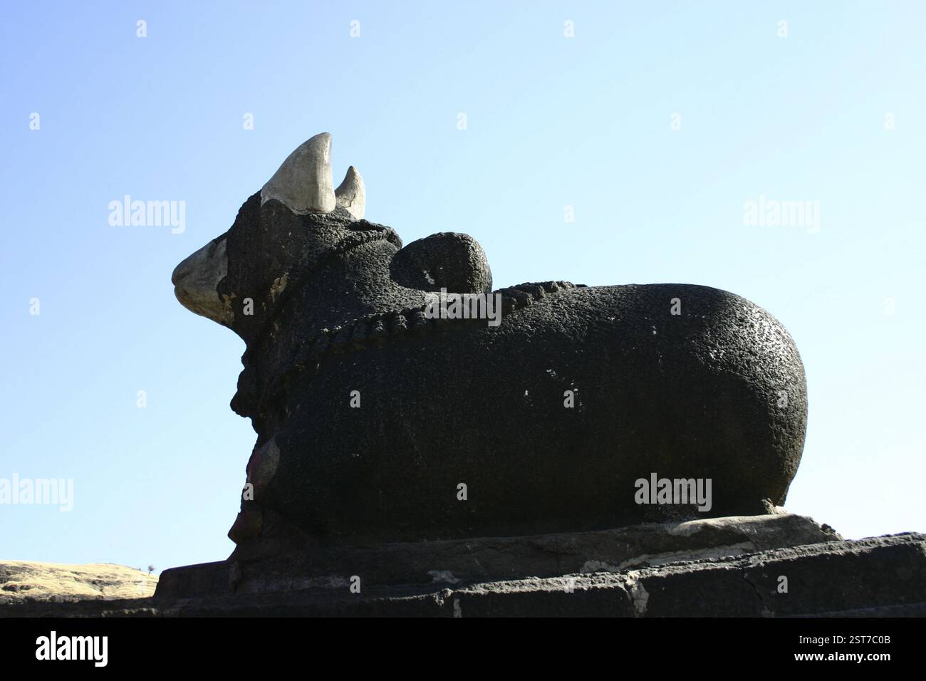 Sculpture of Nandi Bull, vehicle of Hindu God Shiva, near Malegaon ...