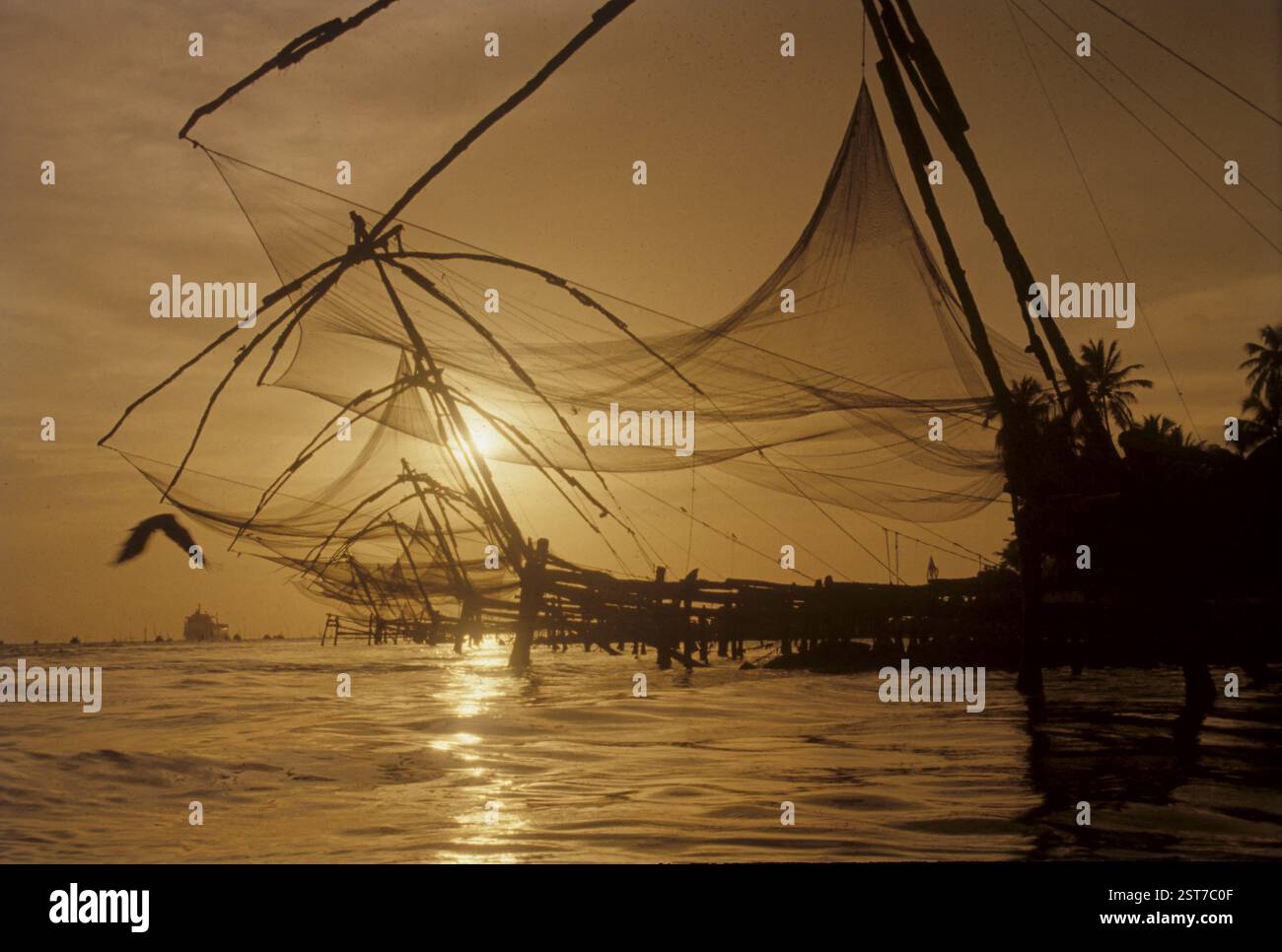 Beach, fishing net, cochin (kochin), kerala, India, Asia Stock Photo ...
