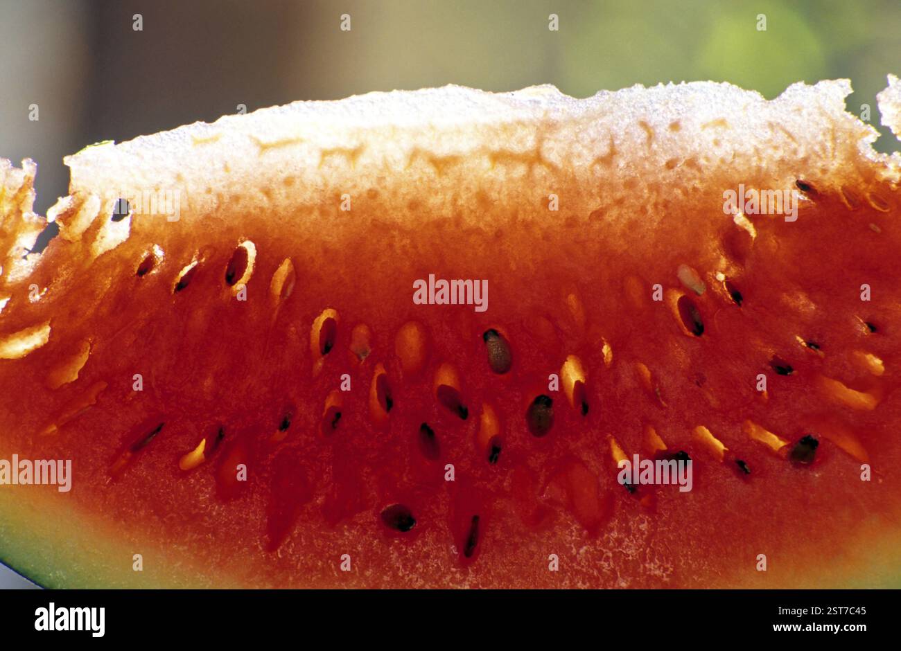 Fruits - Watermelons Stock Photo - Alamy