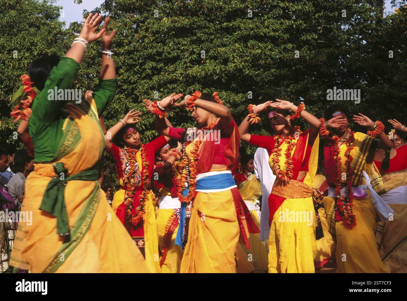 Holi, spring festival, shantiniketan, west bengal, India, Asia Stock ...