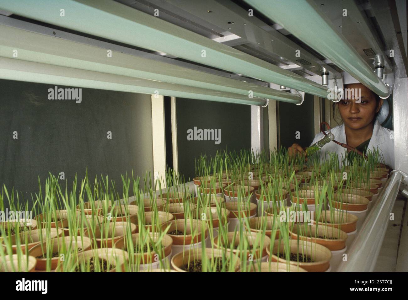 Agriculture based research, india Stock Photo - Alamy