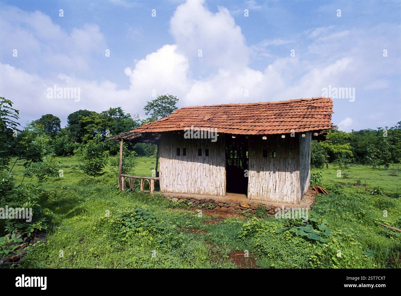 Hut, Maharashtra, India, Asia Stock Photo - Alamy