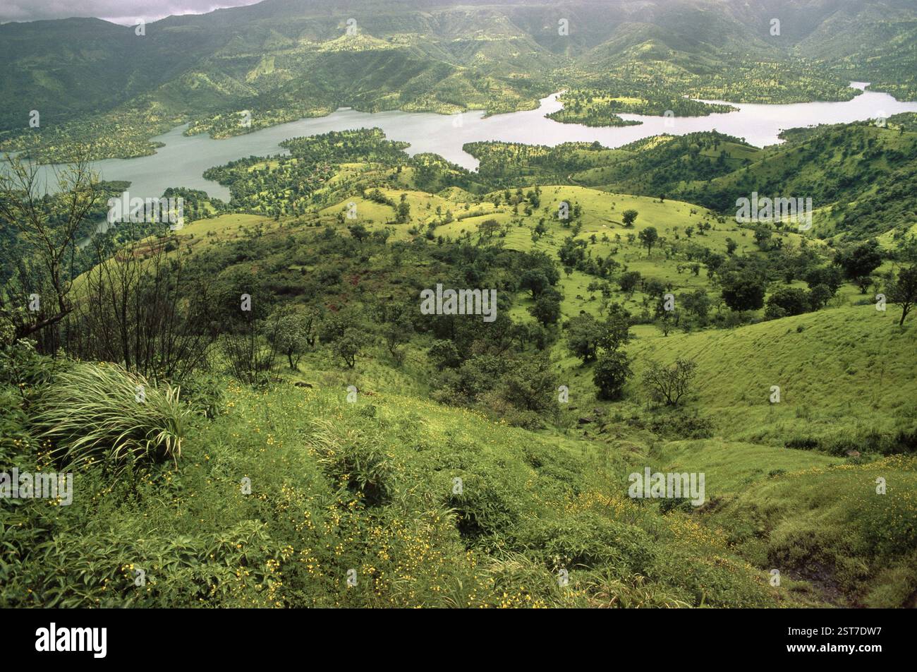 River view, mahableshwar, maharashtra, india Stock Photo - Alamy