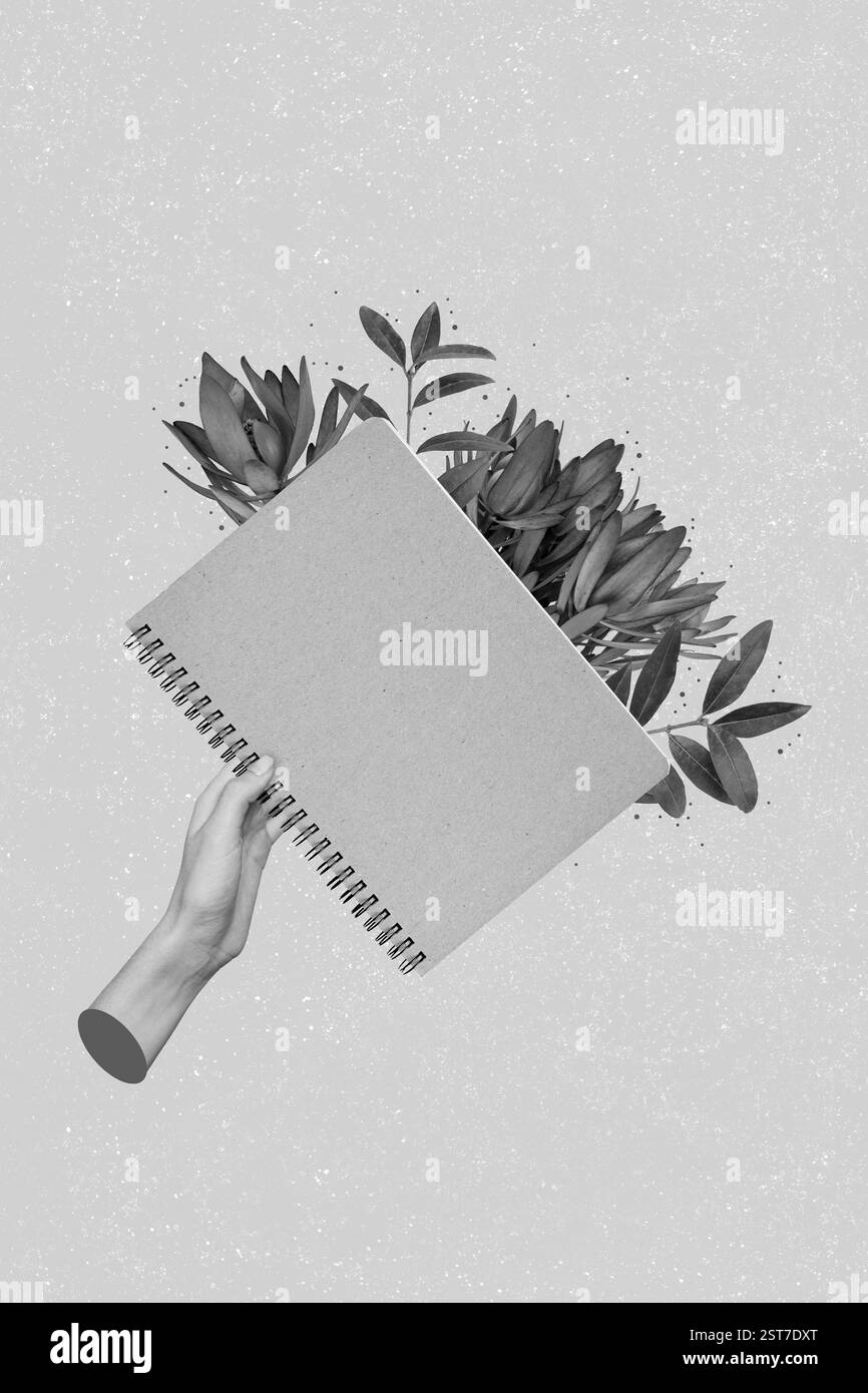 Composite collage picture image of woman hand holding notepad notebook ...