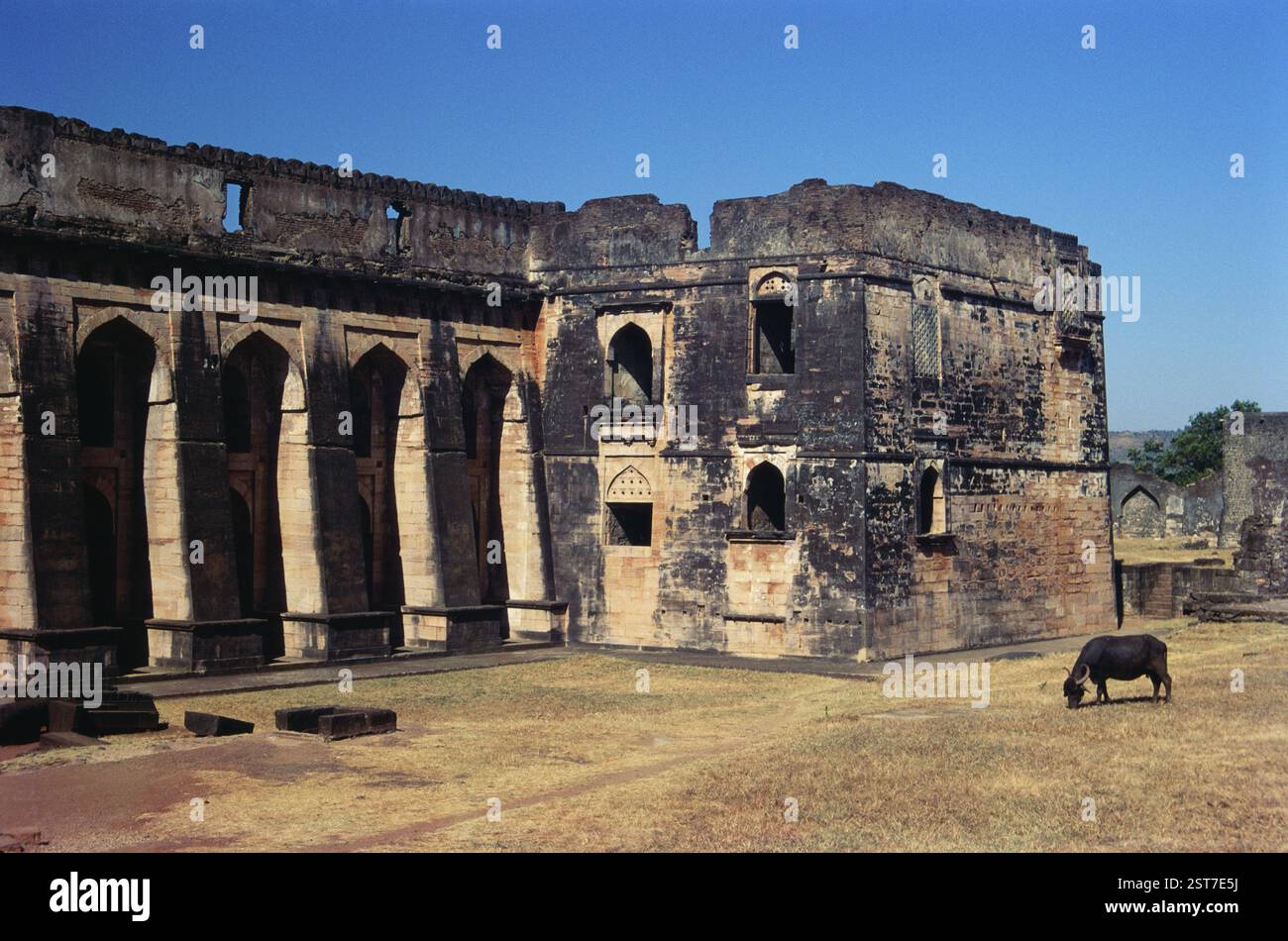 Hindola Mahal or swing palace, Indore, Madhya Pradesh, India, Asia ...