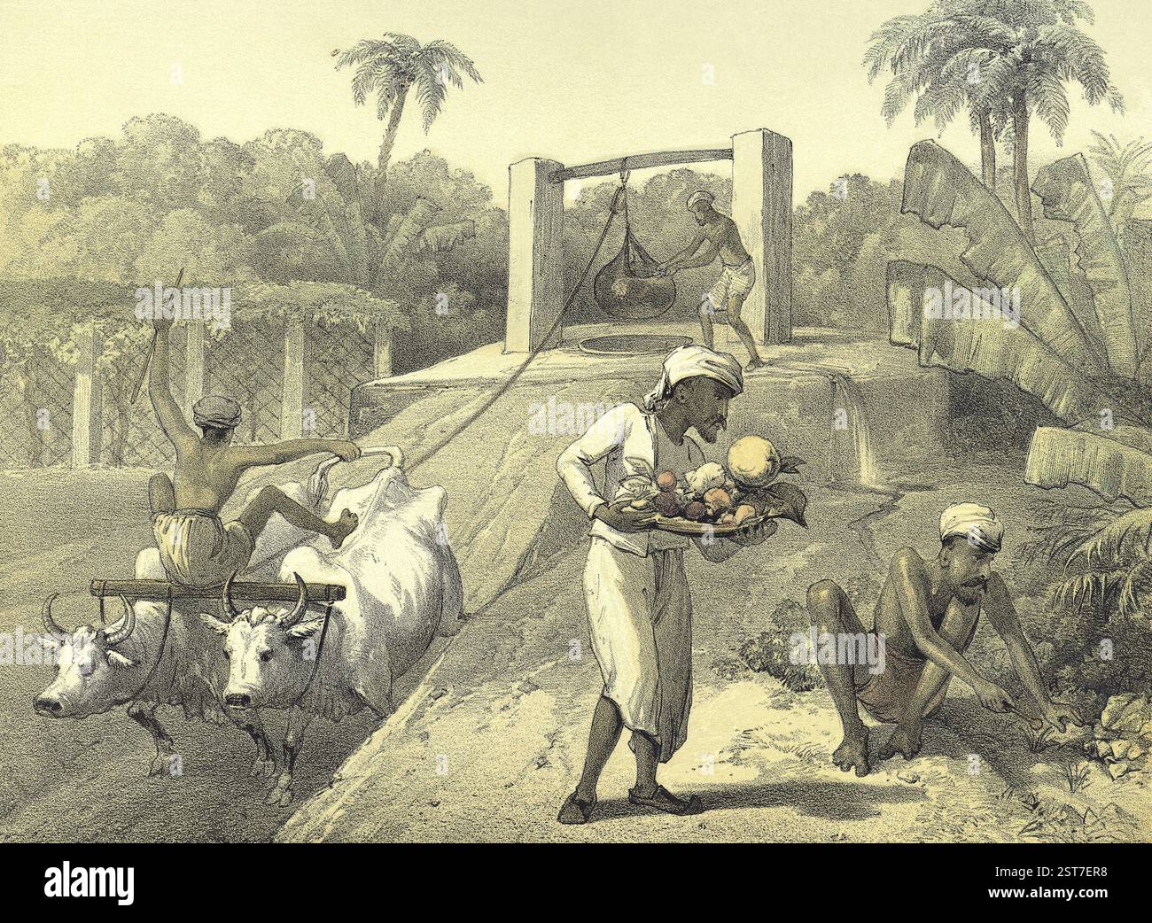 Illustration Lithograph Woodcut of Life in India During British Rule ...