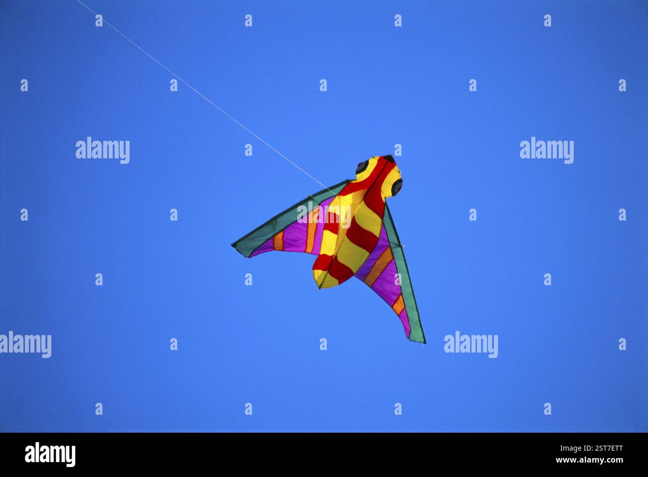 Bee shape kite flying, Kite Makara Sankranti Festival, international ...