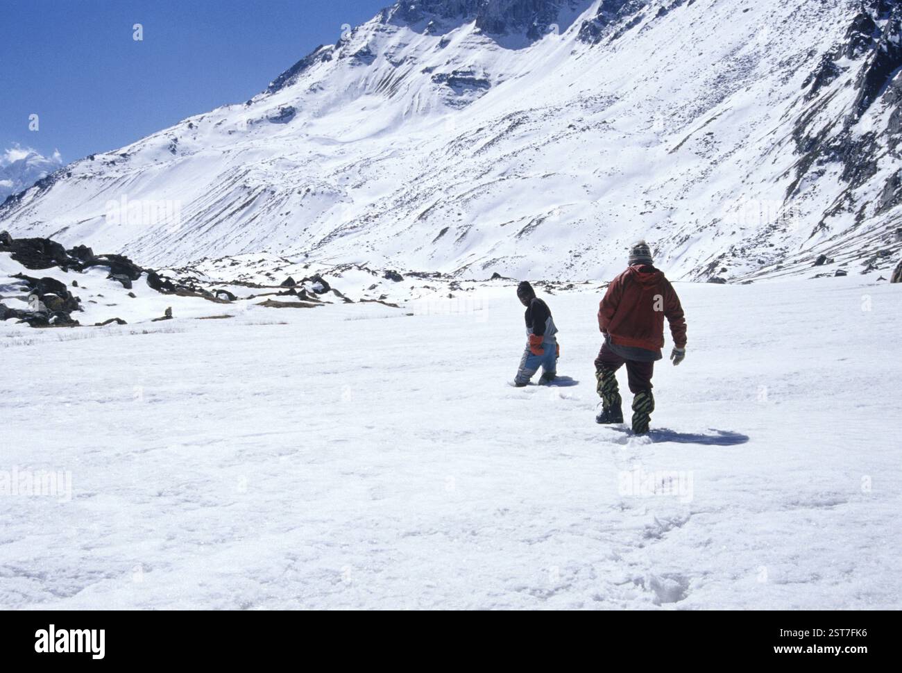 Trekkers on snow, Tapovan, Gangotri, Himalaya, Uttaranchal, India, Asia ...