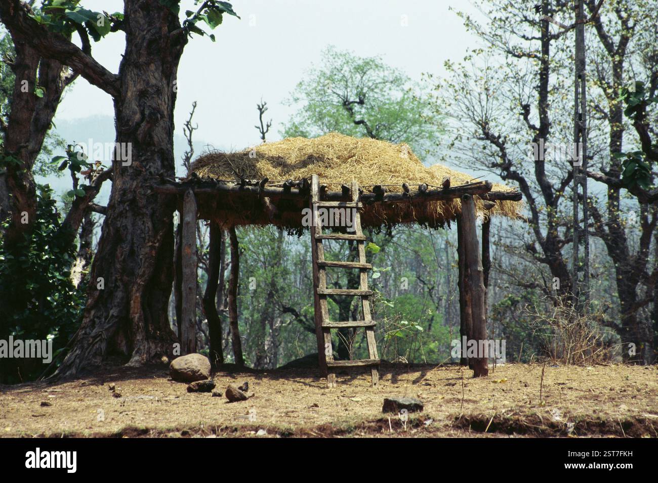 Tribal tower near ladder, Silvasa, Gujarat, India, Asia Stock Photo - Alamy