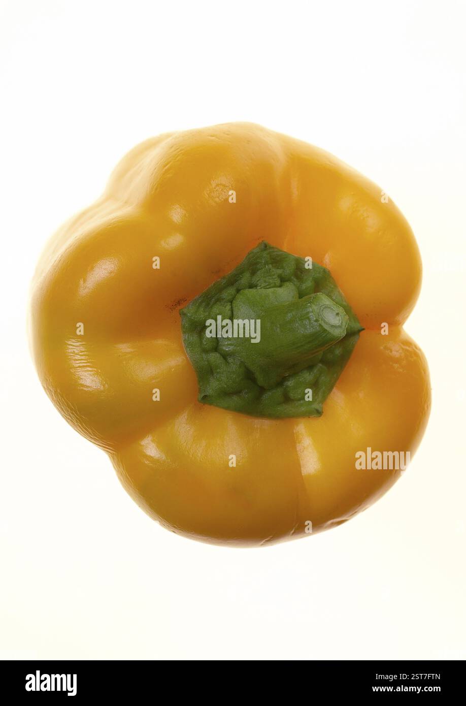 One Yellow chilly hot spicy Vegetable Capsicum Stock Photo - Alamy