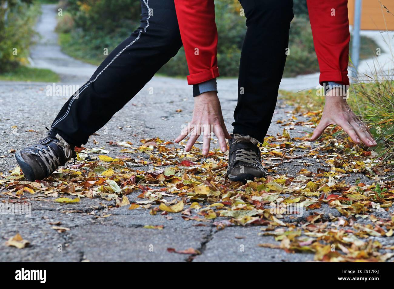 Slip hazard in fall and winter. An elderly woman slips on wet leaves on ...