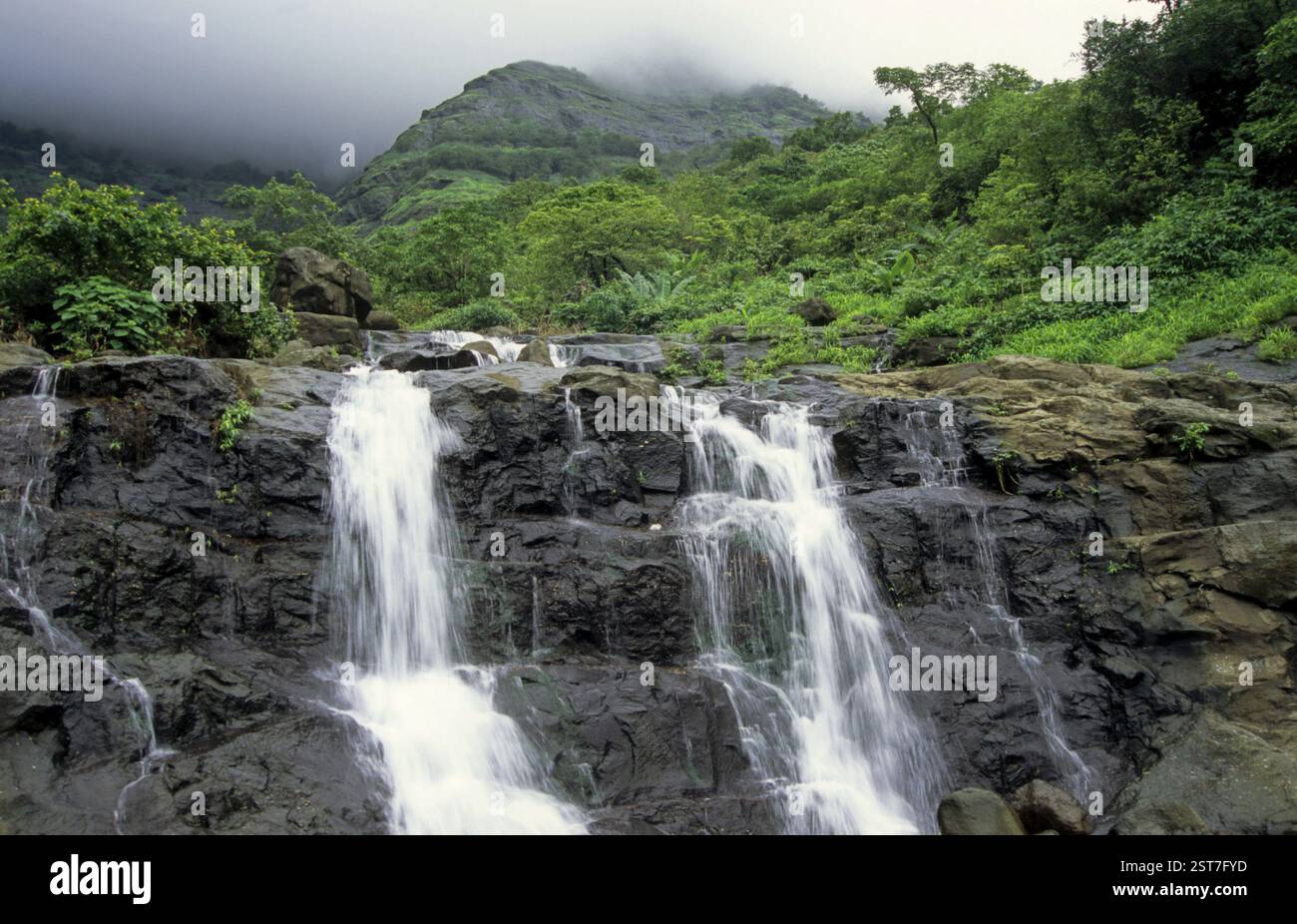 Waterfall at Malshej Ghat, Murbad, Maharashtra, India, Asia Stock Photo ...