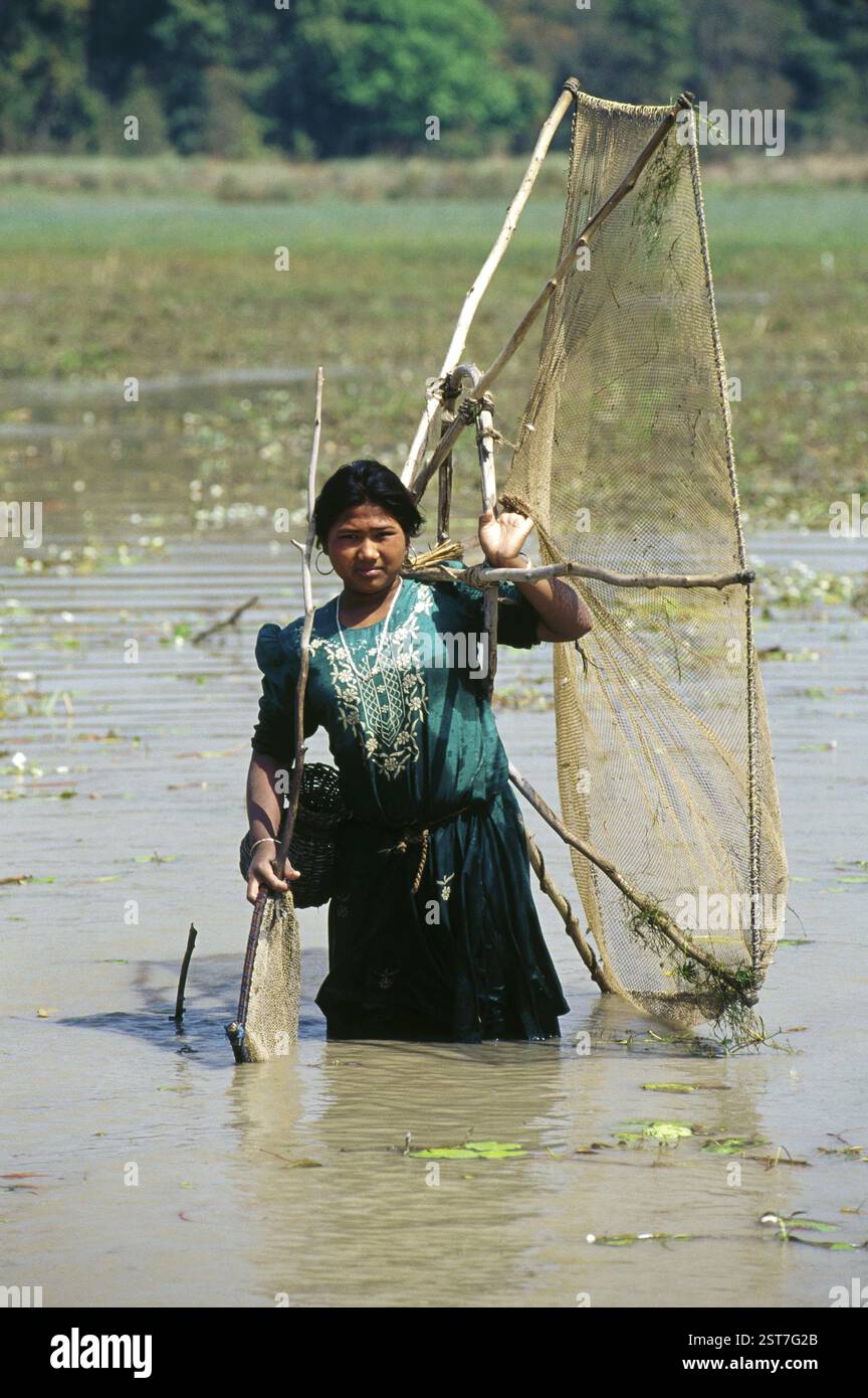 Tharu tribal fishing, Dudhwa, Uttar Pradesh, India, Asia Stock Photo ...