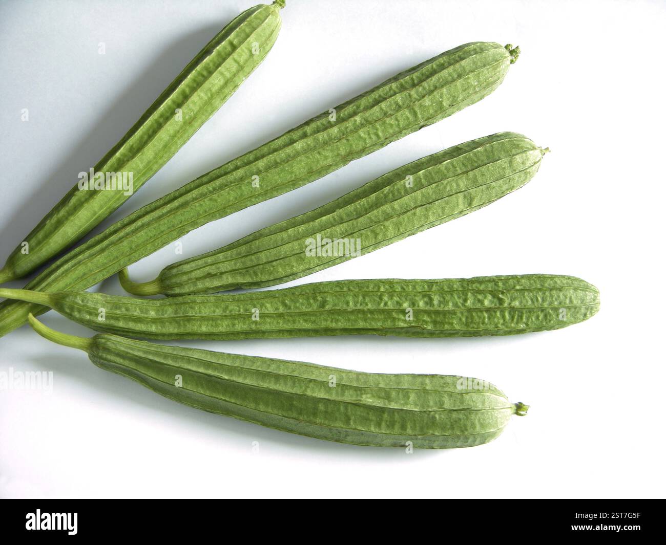 The five food groups hi-res stock photography and images - Alamy