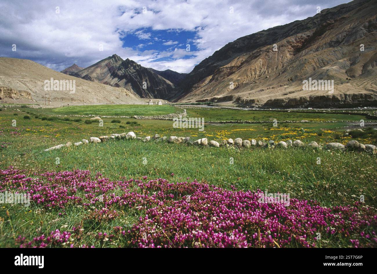 Leh manali road upshi valley, leh, ladakh, Jammu and Kashmir, india ...