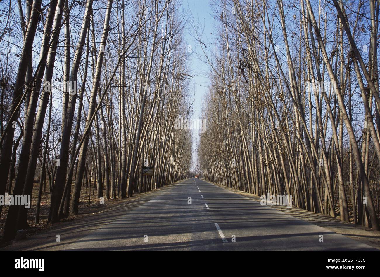 Pahalgam road, Jammu and Kashmir, India, Asia Stock Photo - Alamy