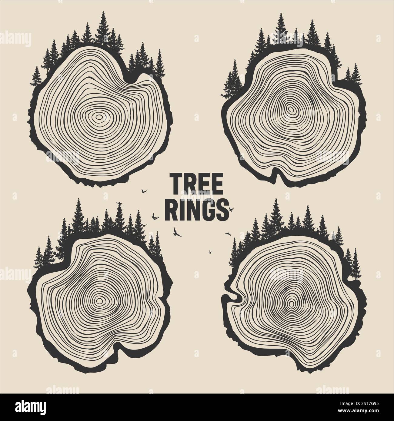 Round tree trunk cuts with trees, forest and birds. Sawn pine or oak ...