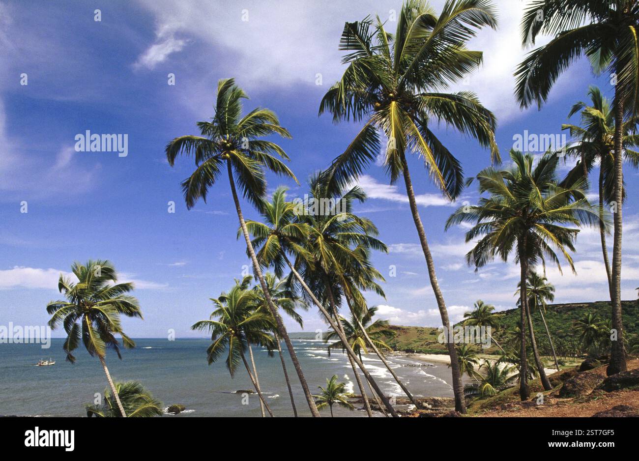 Goa beach sceneries hi-res stock photography and images - Alamy