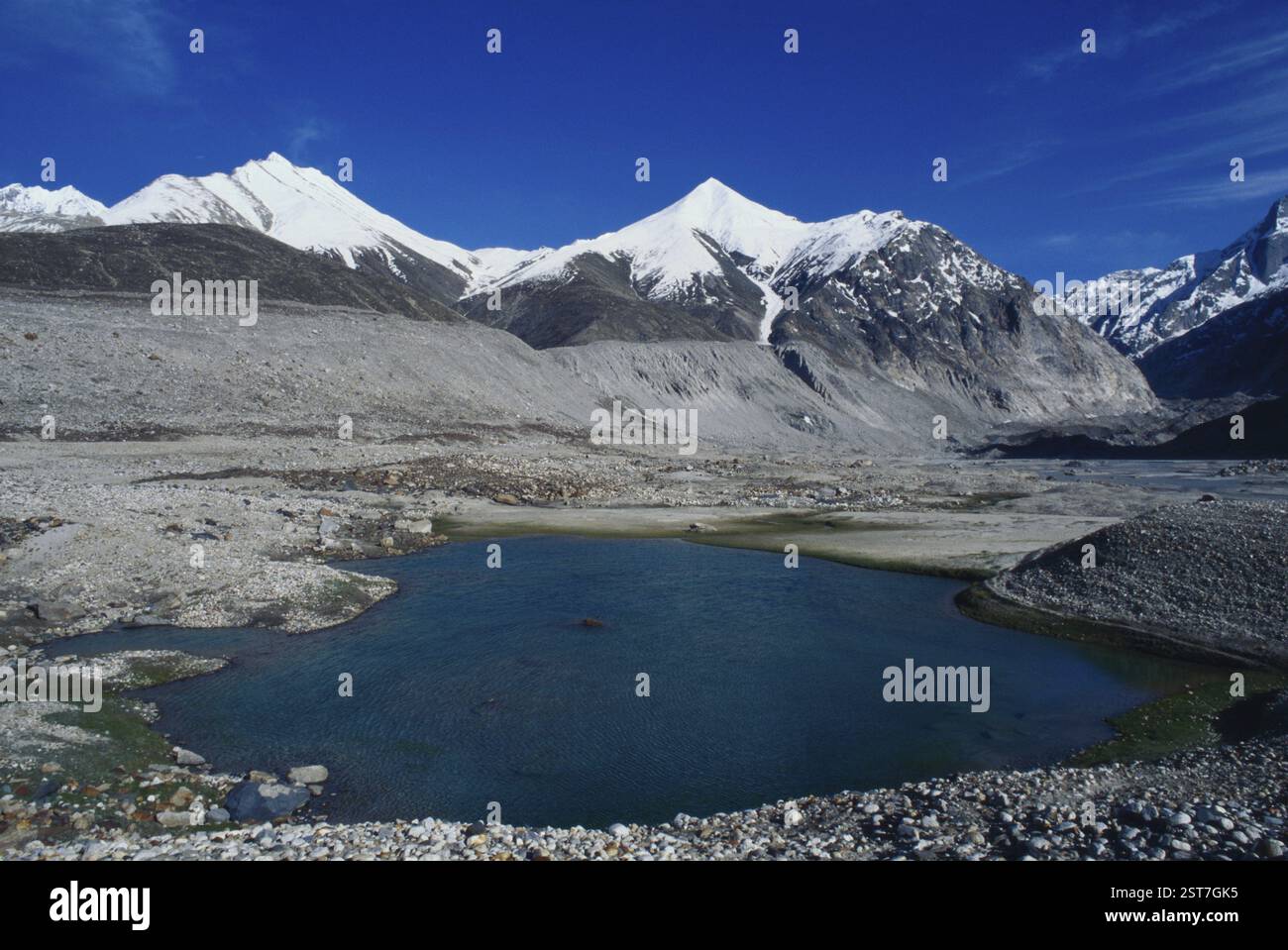 Chandratal lake, Himachal Pradesh, India, Asia Stock Photo - Alamy
