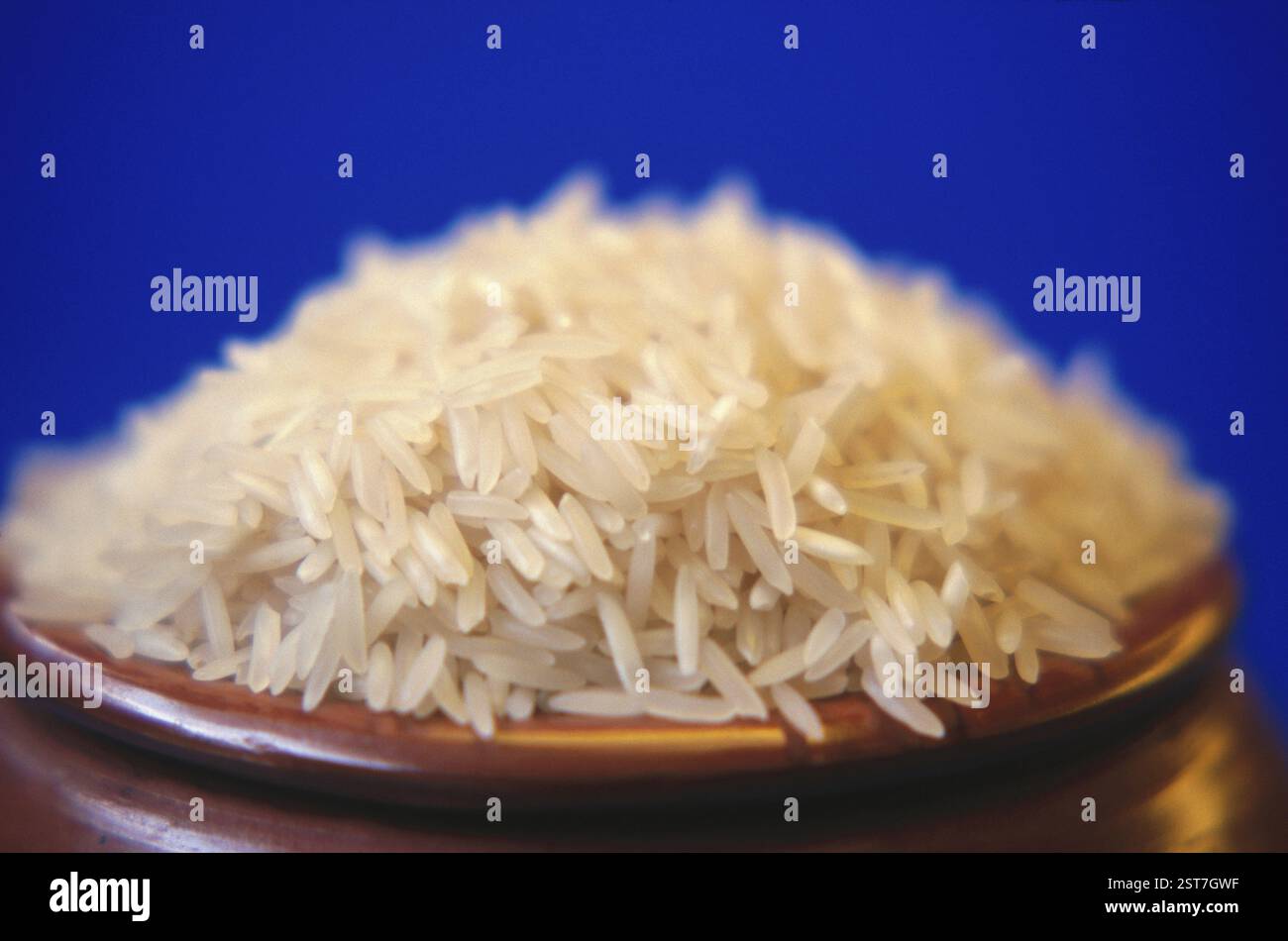 Grain, Basmati Rice Oryza sativa in earthen pot Stock Photo - Alamy