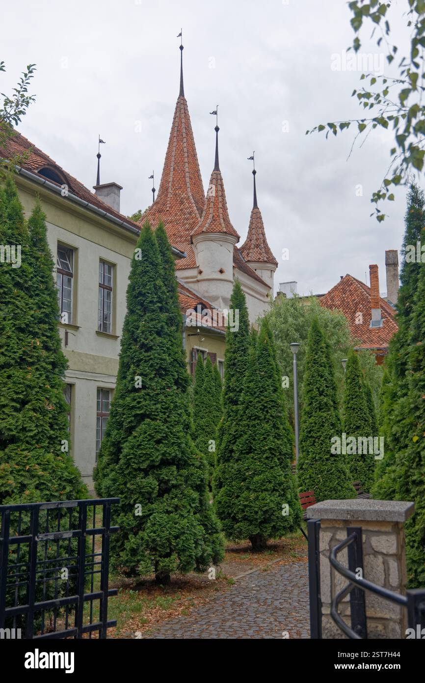 Hills trees in romania hi-res stock photography and images - Alamy