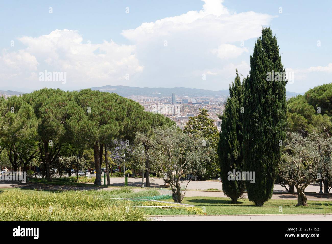 Park with lawn, trees and shrubs in Barcelona, spain Stock Photo - Alamy