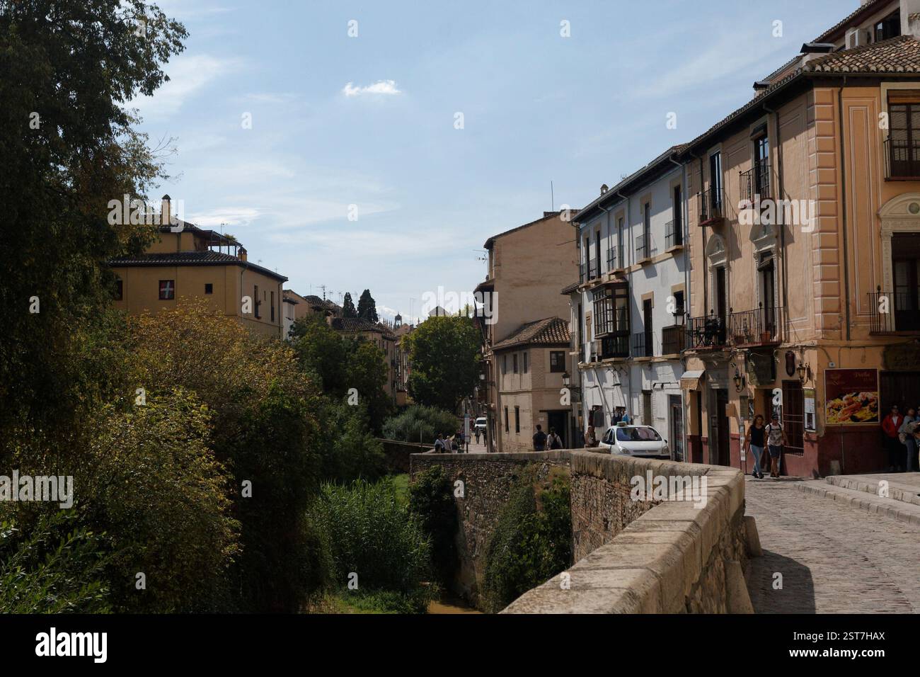 Historic centre with some nature in Granada, Spain, at the foot of the ...