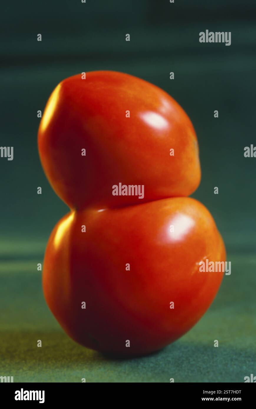 Concept, human figure of tomatoes Stock Photo - Alamy
