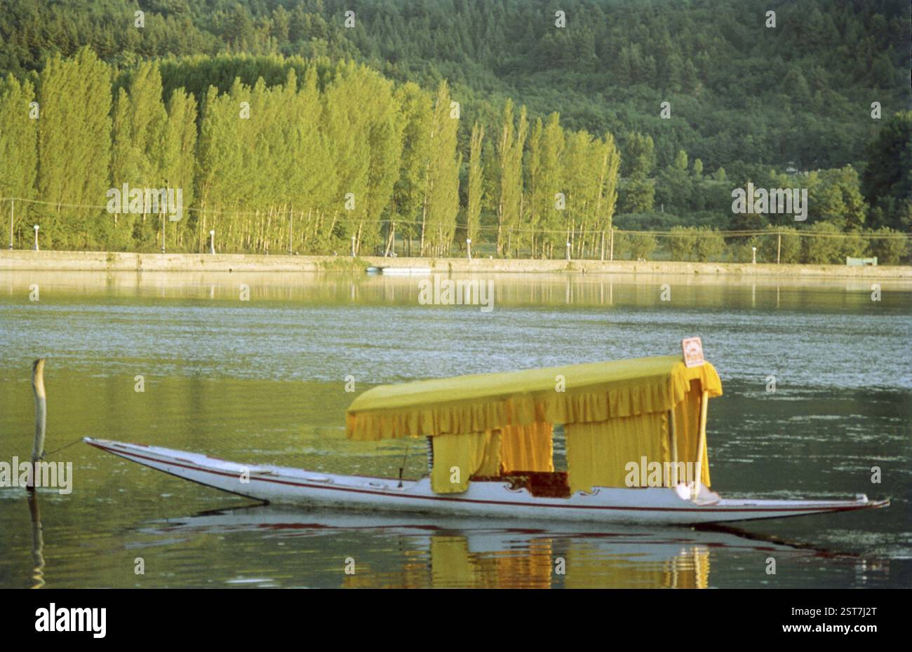 Dal Lake, Srinagar, Jammu and Kashmir, India, Asia Stock Photo - Alamy