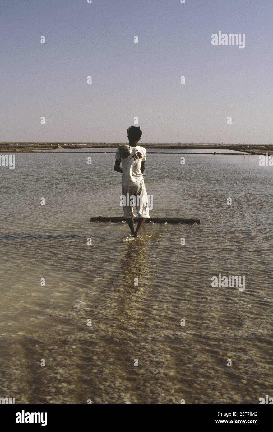 Salt plant, breaking the crust in the salt pans, little rann of kutch ...