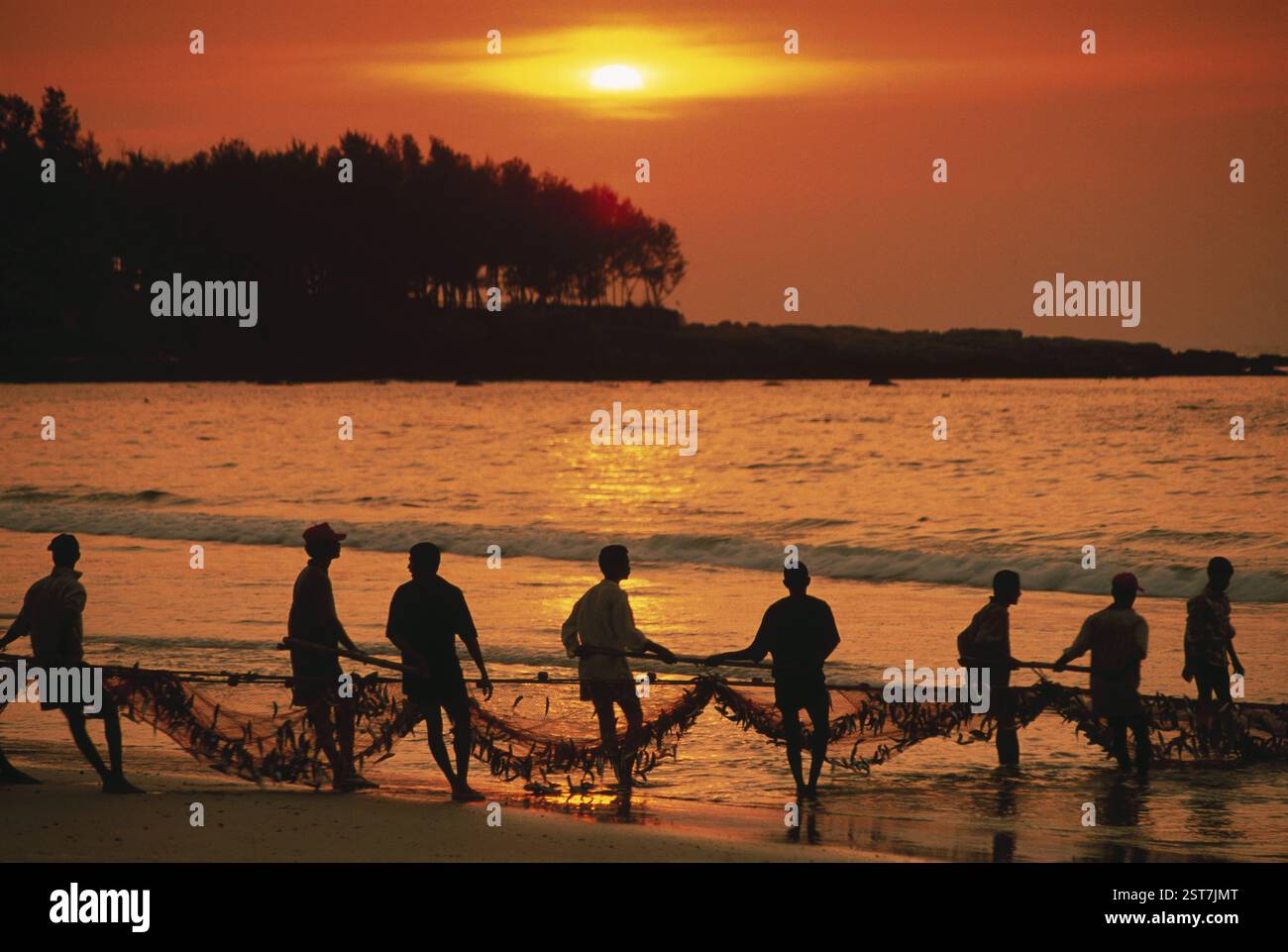 Fishermen holding net at sunset at chiwla beach, malvan, konkan ...