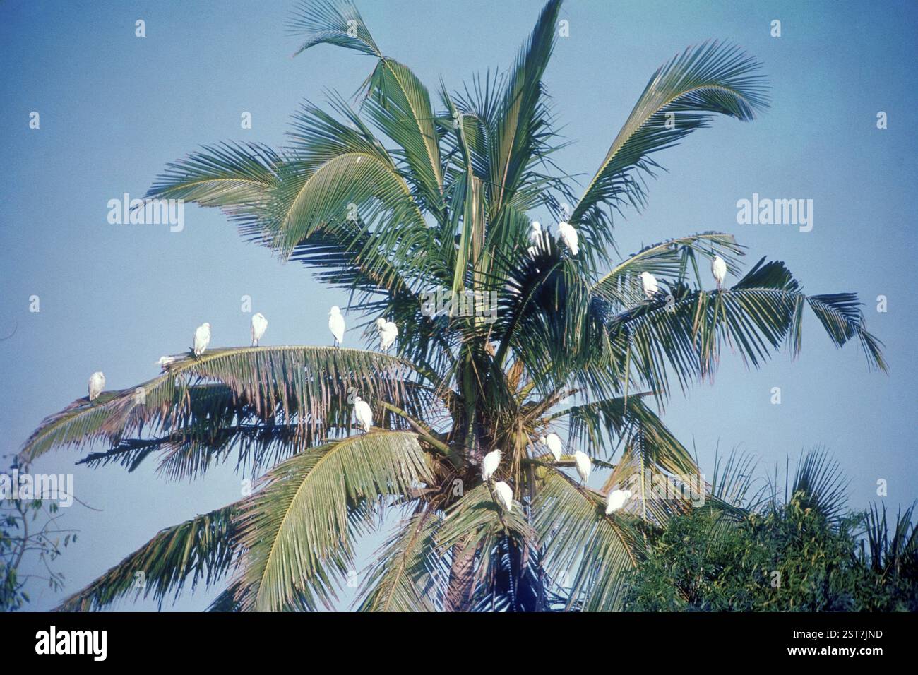 Top bire hi-res stock photography and images - Alamy